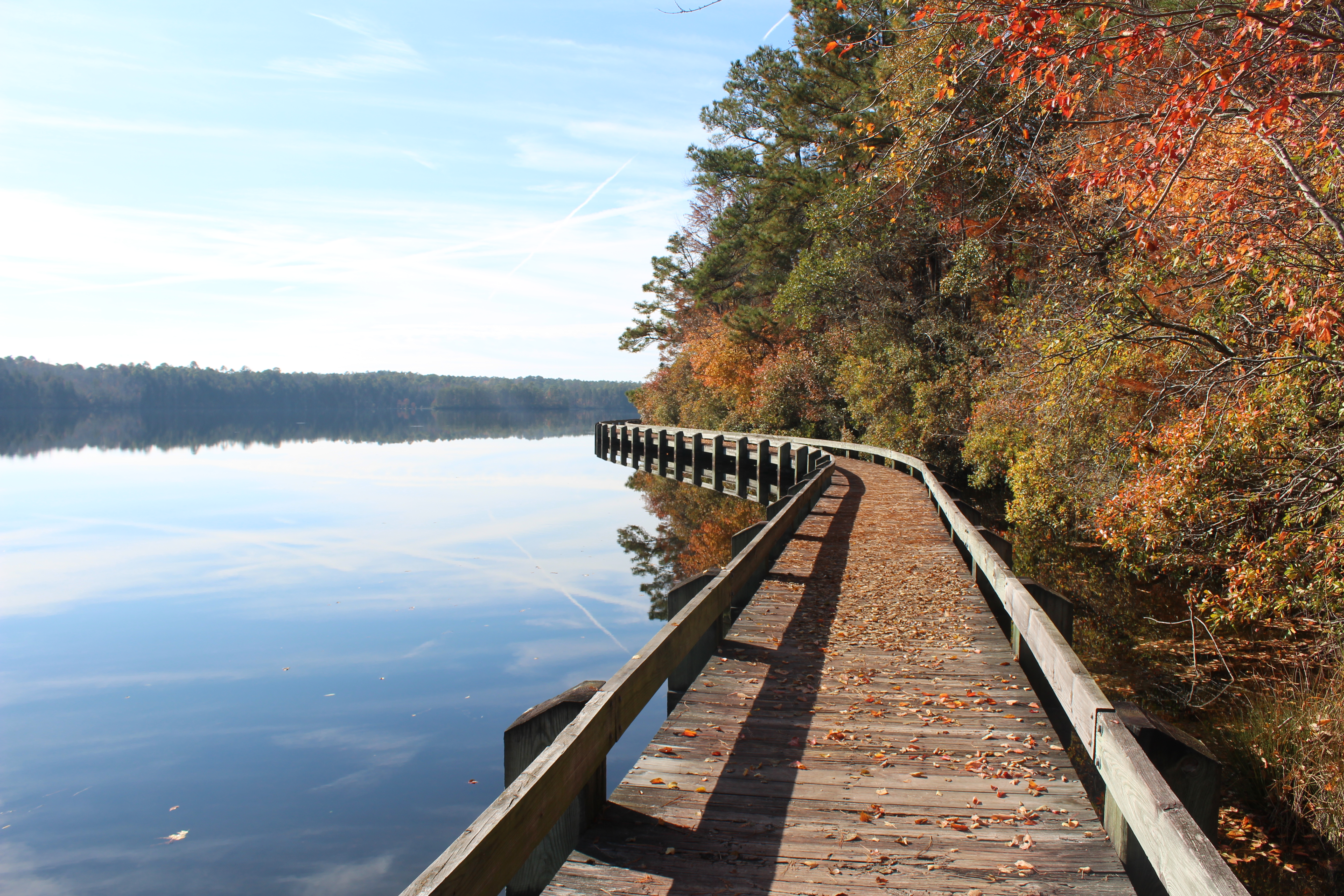 My travels around the Southeastern United States