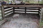 Chesser Island Homestead