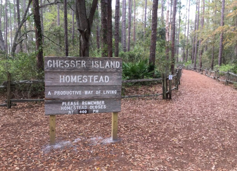 Chesser Island Homestead