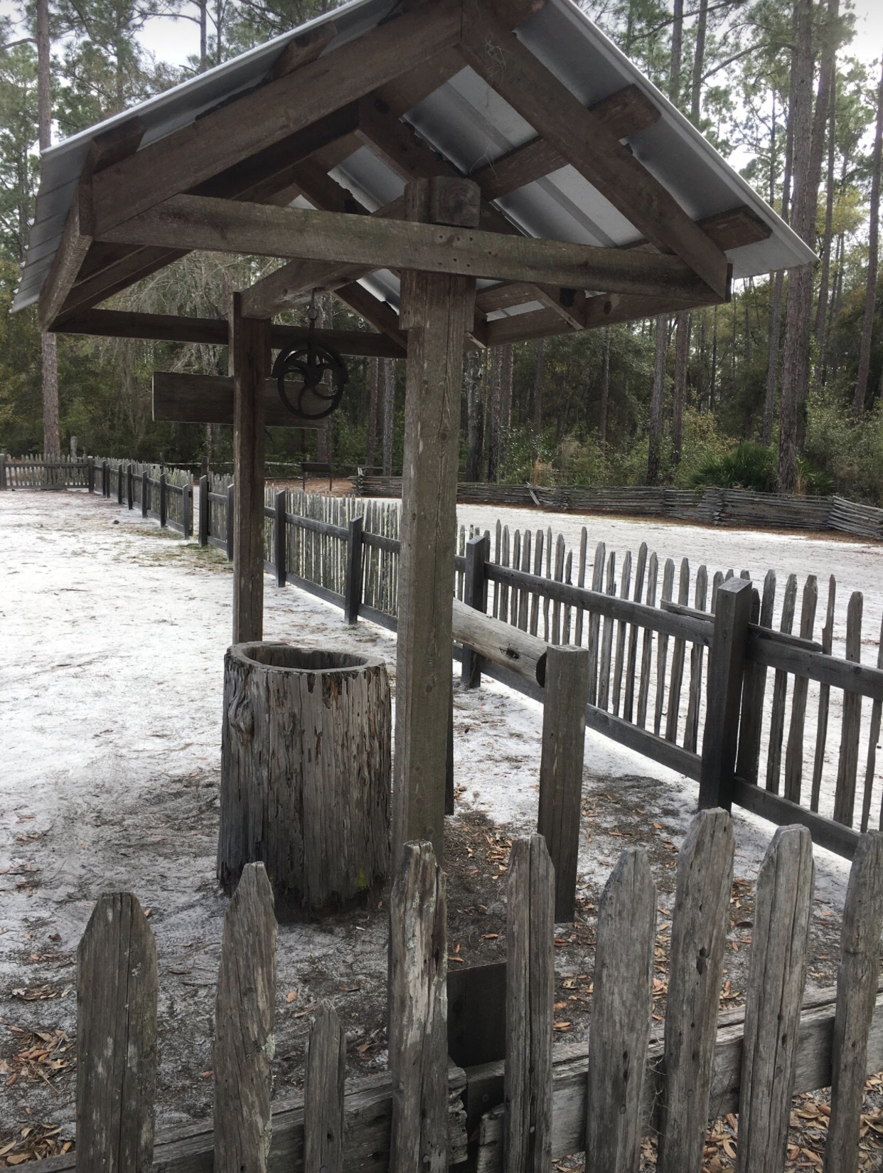 Chesser Island Homestead
