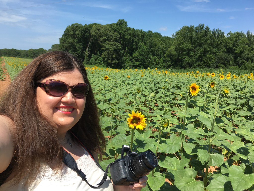 Sunflowers at Draper Wildlife Management Area